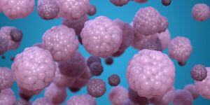 CellCheck™ | Cell Line Authentication