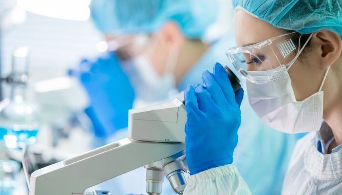 Organoid | Microphysiological Systems Verification